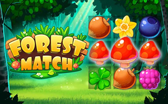 FOREST MATCH | Jogue no Jogos Online Grátis